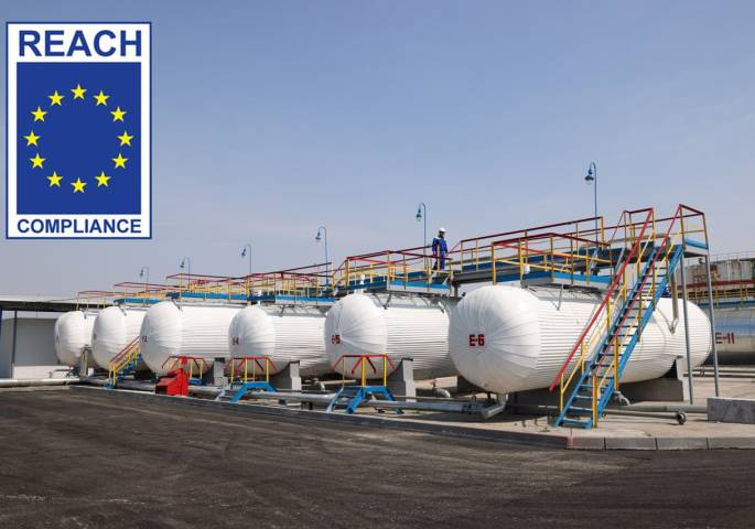 Home [www.saneg.com]