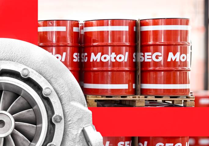 Home [www.saneg.com]