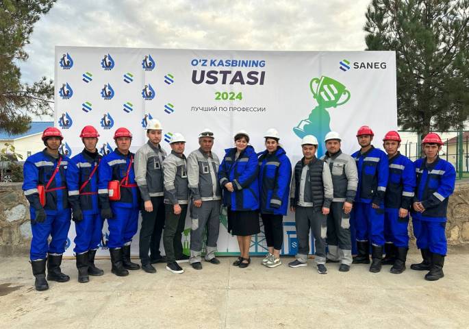 Home [www.saneg.com]