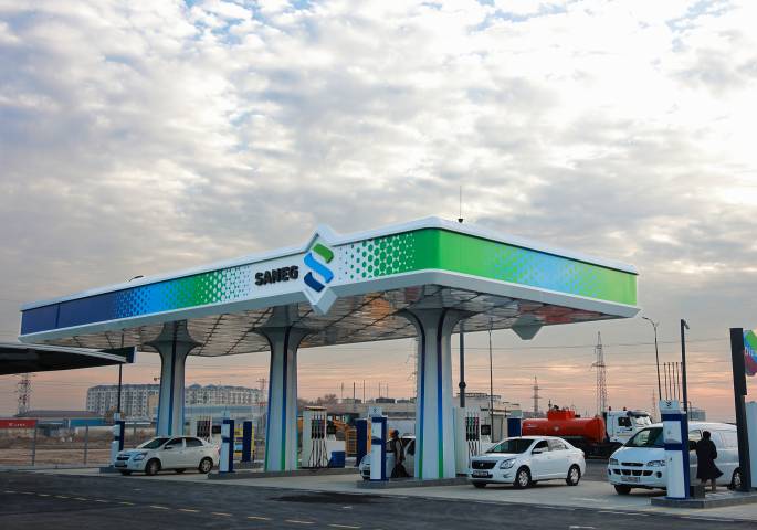 Home [www.saneg.com]